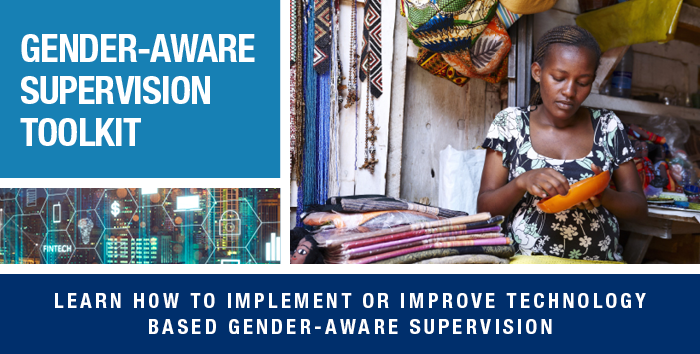 New Toolkit for Gender Aware Supervision